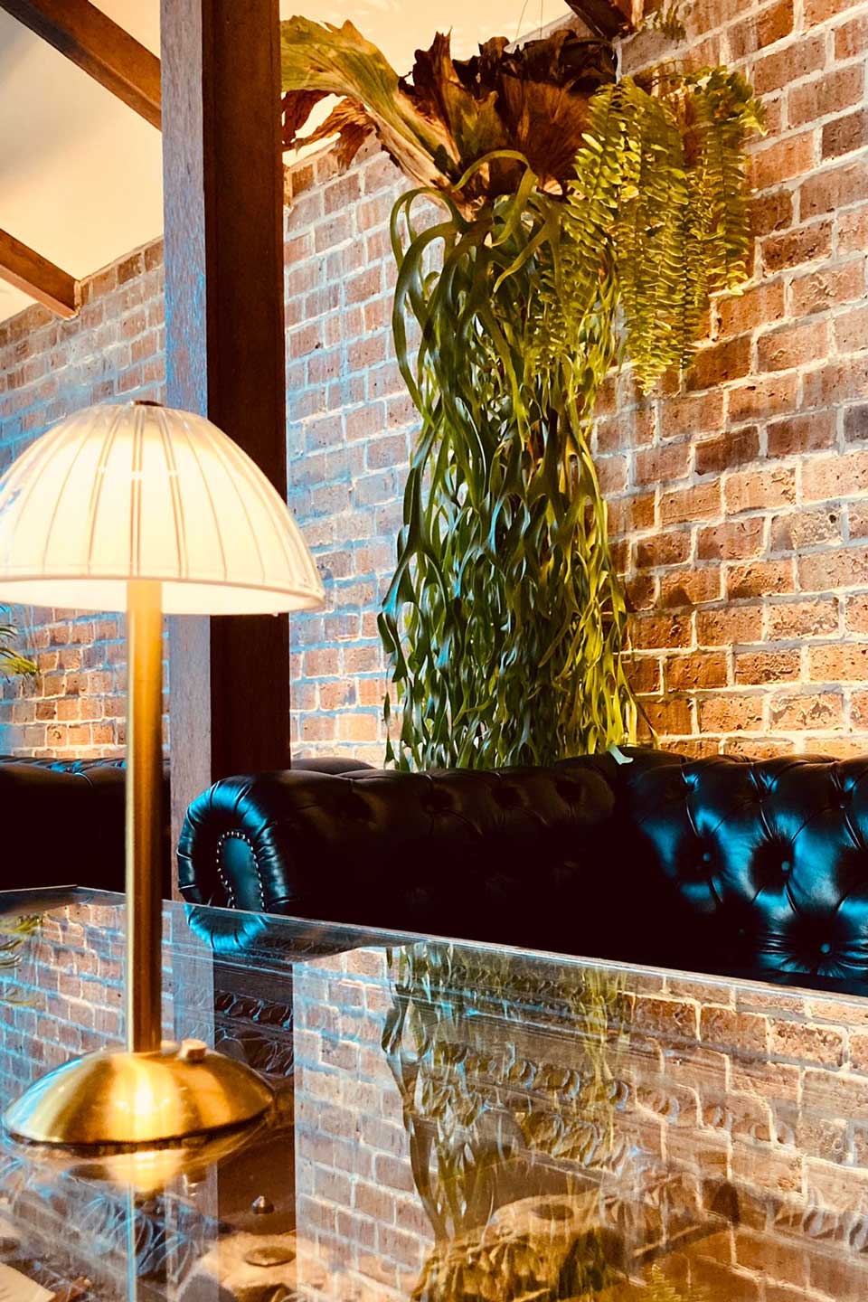 Cocktail Bar Koh Samui - Blind Tiger Kitchen and Cocktails